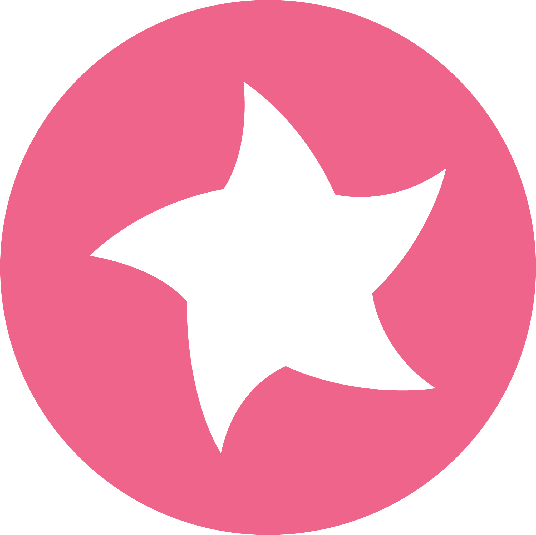 Grooming Shampoos – Animus Surgical