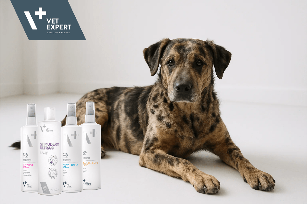 The Secret to Pet Skin Health: Why Veterinary Experts Trust Vet Expert ...
